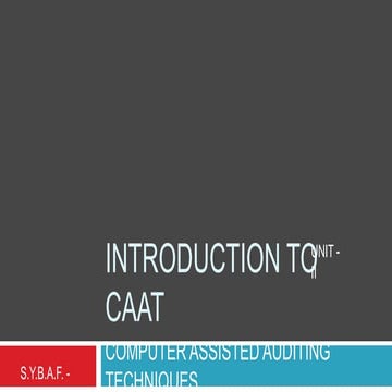 Introduction to caat | PPTX