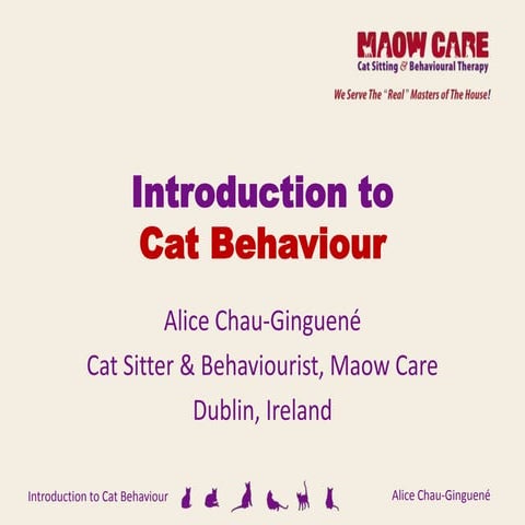 Introduction to cat behaviour | PPTX