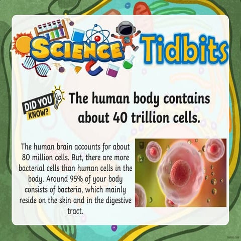 Introduction to Cell.pdf