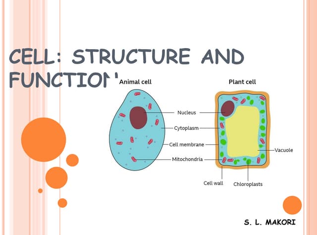 Cell and cell organelles | PPTX