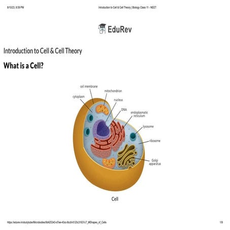 Introduction to Cell & Cell Theory _ Biology Class 11 - NEET.pdf