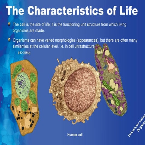 Introduction to cells | PPT