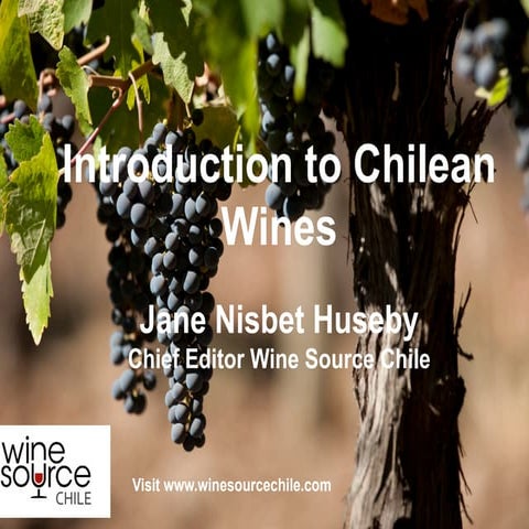 Introduction to Chile: A guide to climate and wines | PDF | Geography ...