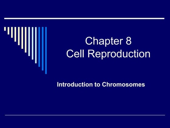 Chromosomes | PPT