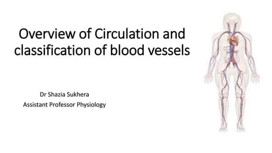 Types of circulation | PPT