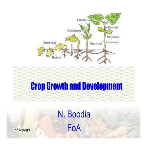 Introduction to crop growth & dev | PDF