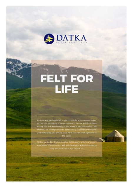 Fabien Dany, Coo at Datka