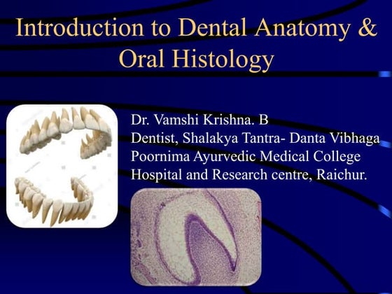 Human teeth | PPT | Dental Health | Diseases and Conditions