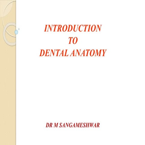 INTRODUCTION TO DENTAL ANATOMY.pptx