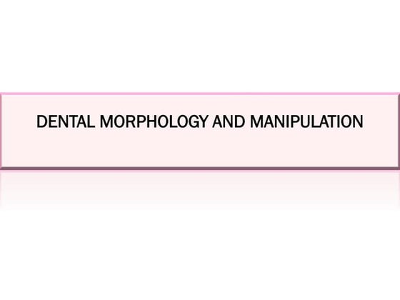 Dental anatomy reference_guide | PDF