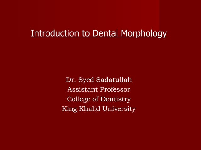 Tooth Morphology -Primary and Permanent Teeth.pptx | Dental Health | Diseases and Conditions