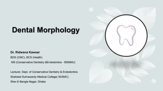 Oral Surgery- Basic Instruments for Exodontia | PDF