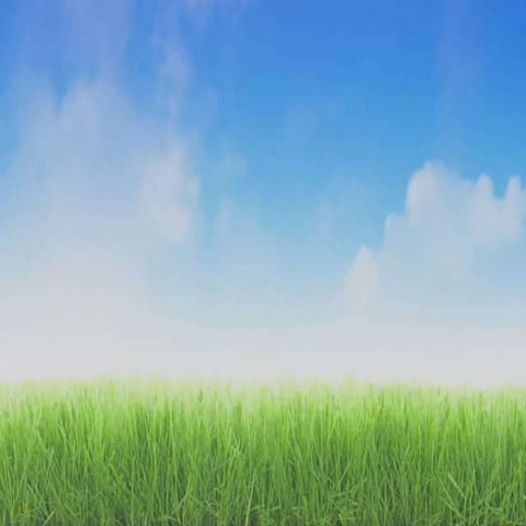 Introduction to dept | PPTX