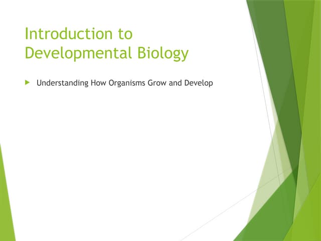 Developmental biology | PPT