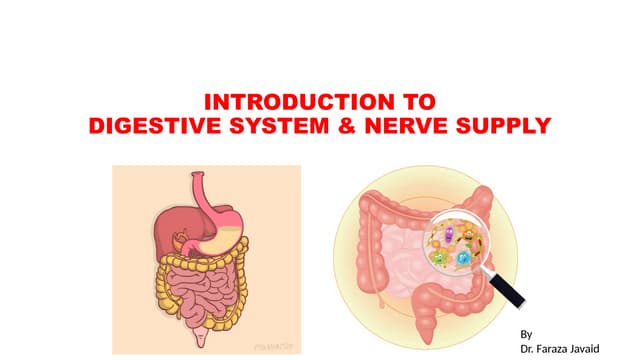 nerve supply of GIT | PDF