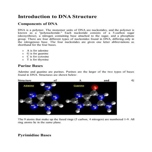 Introduction to dna structure | DOCX
