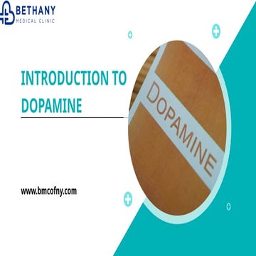 A Power Point Presentation on Dopamine Detox | PDF