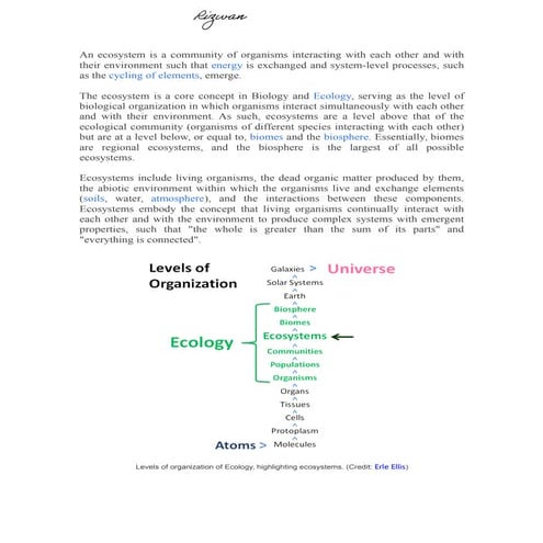 Introduction to ecosystem | PDF