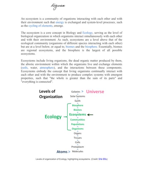 Ecology powerpoint | PPT