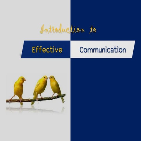 Introduction to Effective Communication | PDF