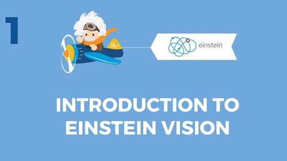 Salesforce Einstein Vision Implementation | PPT