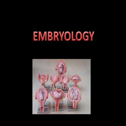 INTRODUCTION TO EMBRYOLOGY ANATOMY-2.pptx
