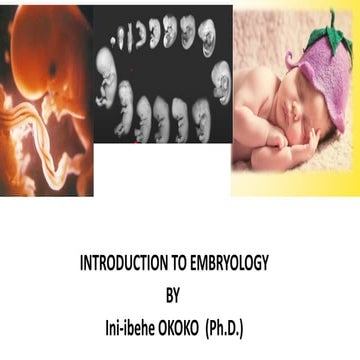 INTRODUCTION TO THE HUMAN EMBRYOLOGY.pptx
