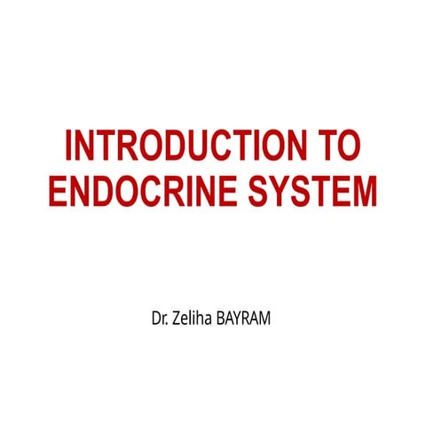 Endocrine system PowerPoint presentation | PPT