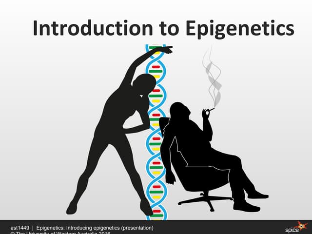 Epigenetics | PPTX | Genetics | Science