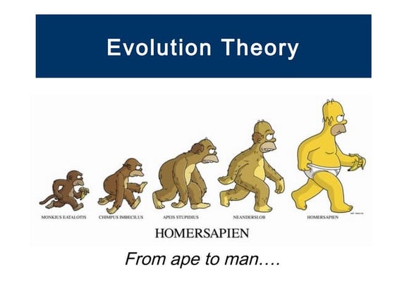 Types of evolution notes | PPTX | Genetics | Science