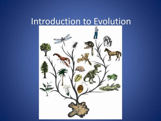 Competitive fitness of invasive plants | PPTX