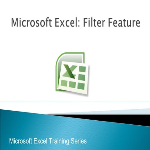Introduction to Excel 2010 filter features | PPT