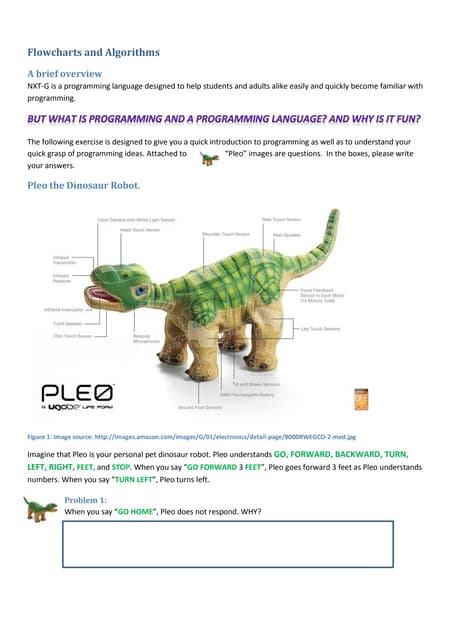 GRADE 6 ALGORITHM.pptx | Computing | Technology & Computing
