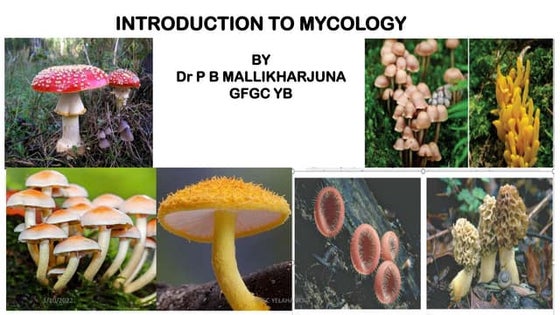 Coprophilous and cellulolytic fungi | PPT