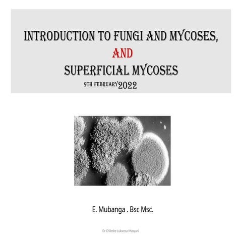Introduction to fungi and mycoses.pptx . | PPTX