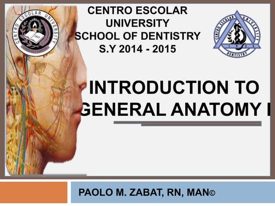 Directional terms | PPTX