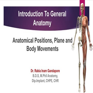 Anatomical terminology | PPT
