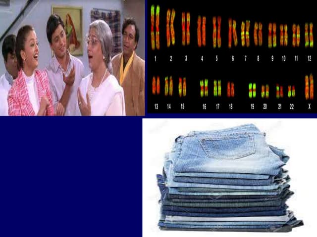 Genetic Disorders - Class XII - Biology | PPTX