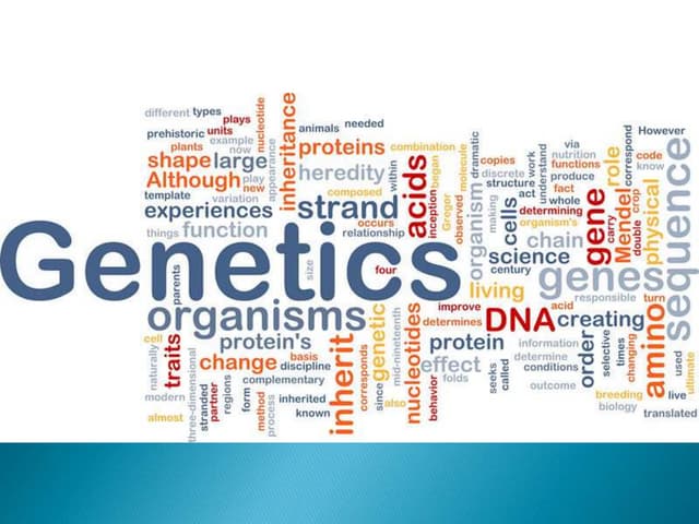 Introduction to Genetics.ppt