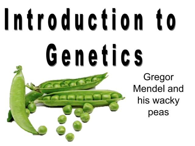 GENETICS 9 science 9 grade 9 curriculum.pptx