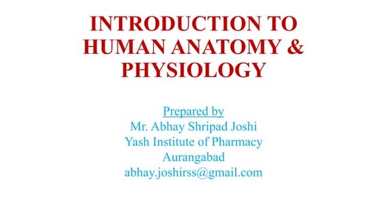 Human Body Systems PPT | PPT