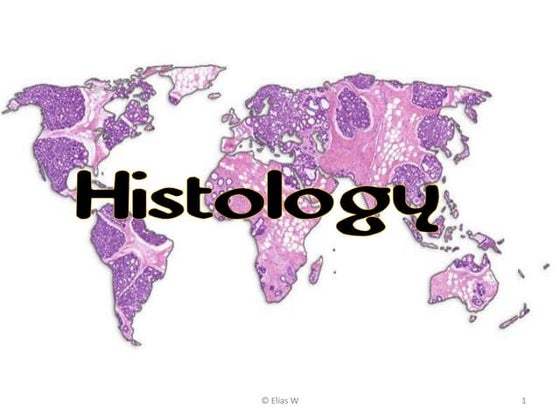 Preparation of histological slide | PPT
