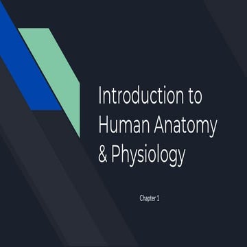 Introduction to Human Anatomy & Physiology | PPTX | Lung and ...