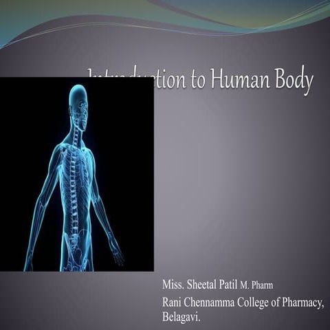 Chapter 1. Introduction to Human Body | PPTX