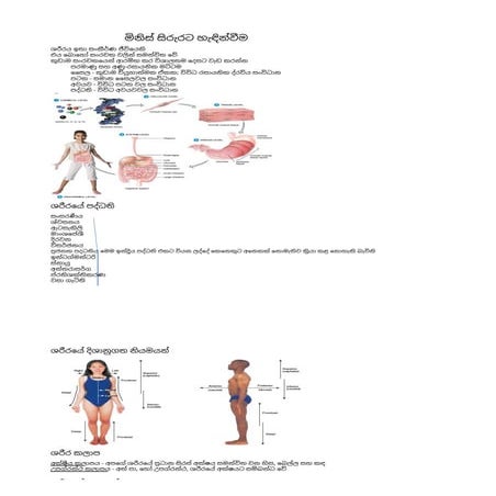 introduction to human body.pdf