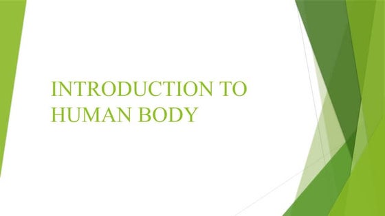 Introduction to Human Anatomy | PPTX | Lung and Respiratory Health ...