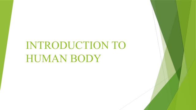 Introduction to Human Anatomy | PPTX
