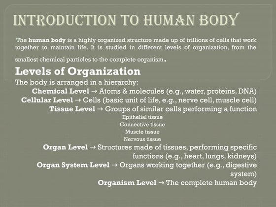 Systems of human body | PPTX