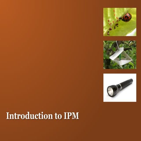 Introduction to ipm | PPTX