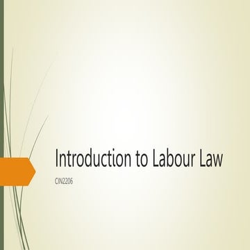Introduction to Labour Law 2024 CIN2206.pptx